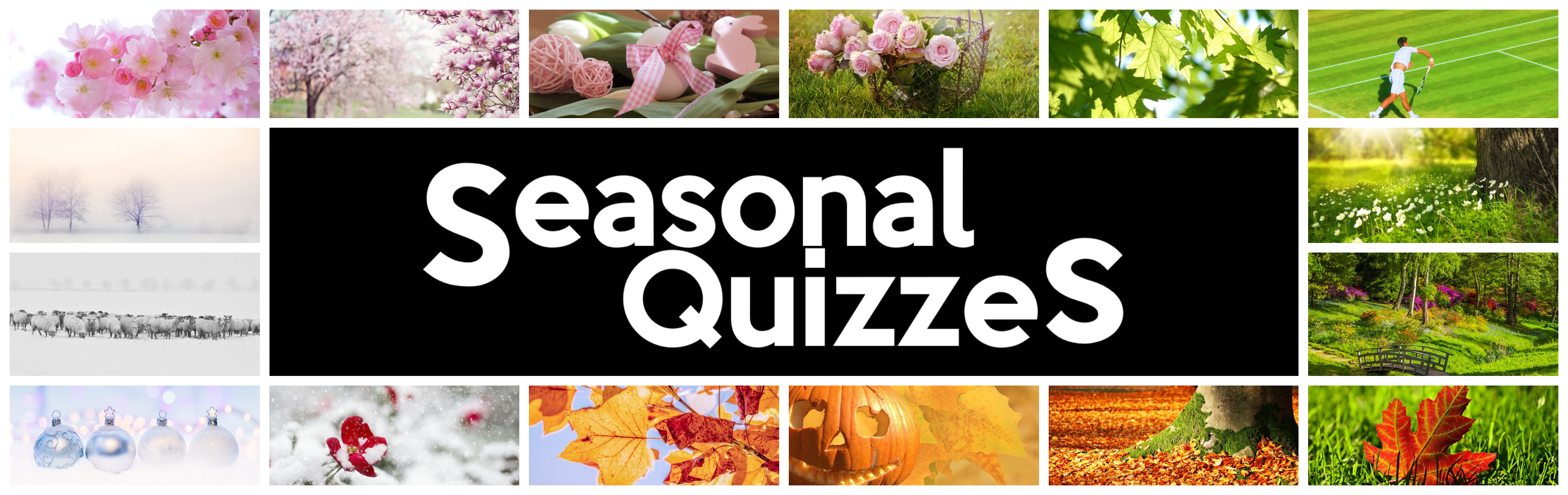 Seasonal and Themed Pub Quizzes – Instant Quizzes